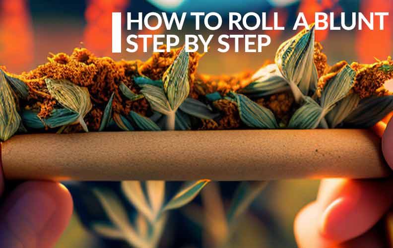 How To Roll A Blunt - Step by Step – SC INC.
